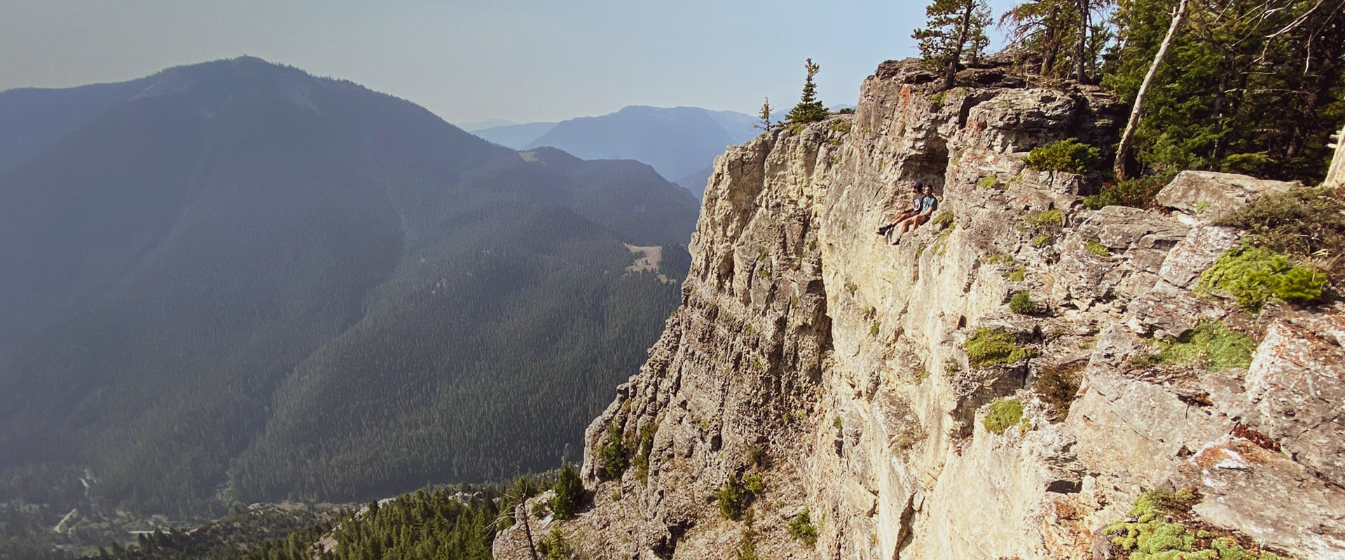 About – Teal Triangle