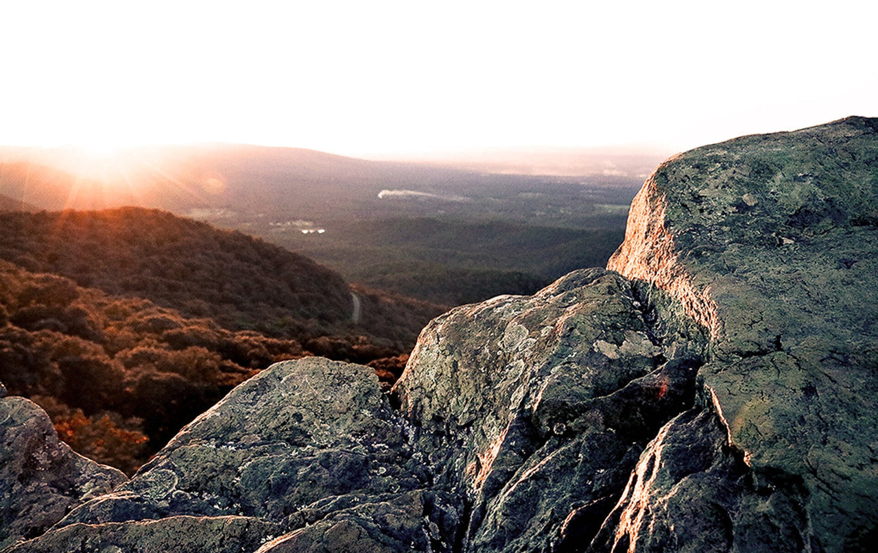 About – Teal Triangle